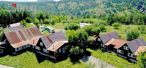 Цусан суулга өвчин болох нь тогтоогдлоо