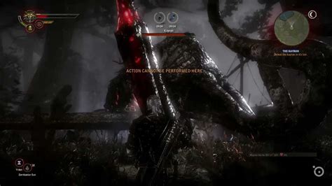 The Witcher 2 Defeating The Kayran Dark Mode Youtube