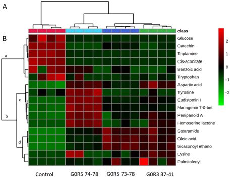Dendrogram Obtained After The Hierarchical Classification Of Metabolite