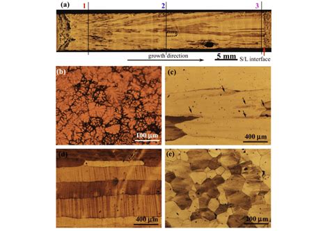 A Longitudinal Macrostructure Of The Ni Mn Sn Unidirectional Crystal Download Scientific
