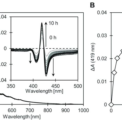 A Molecular Orbital Diagram Of Triplet And Singlet Oxygen B