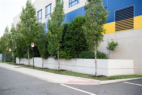 Tree Box Stormwater Filter At Mildred Urban Blog