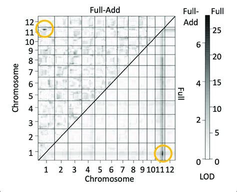 Heat Map Showing Quantitative Trait Loci Qtl For Number Of Panicles Download Scientific