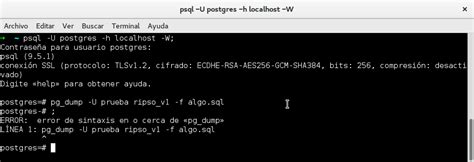 postgresql Crear un backup de Postgres vía consola en Debian Stack