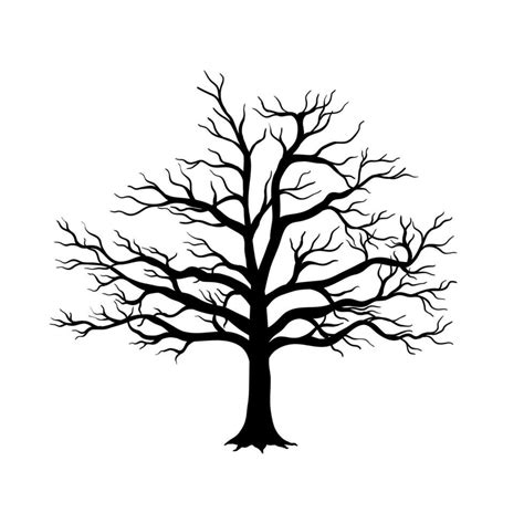 Bare Tree Illustration