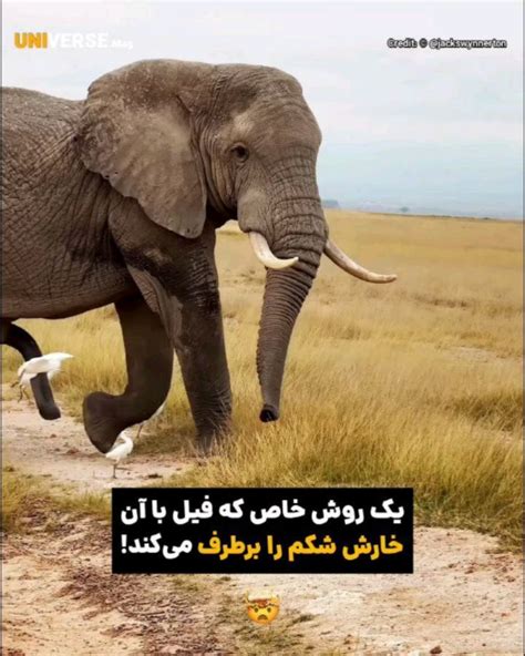 ‎universemag جهـان هستی‎ ‎کدوم یک از همه جالب‌تر بود؟ 😯 لطفاََ