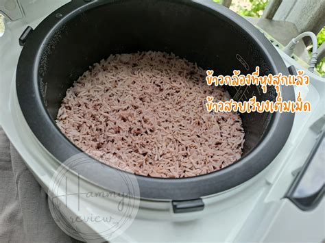 หม้อหุงข้าวระบบai หุงยังไงได้ข้าวเต็มเม็ดเรียงสวย แกลเลอรีที่โพสต์