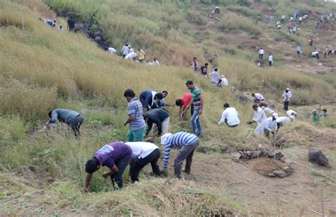 Tree Plantation And Conservation Chinchoti Galsure Srivardhan Fanaswadi Panvel Mangaon