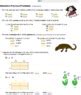 Simple Genetics Practice Remote Edition KEY By Biologycorner