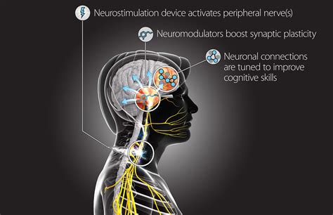 darpa wants to hack your brain newsweek