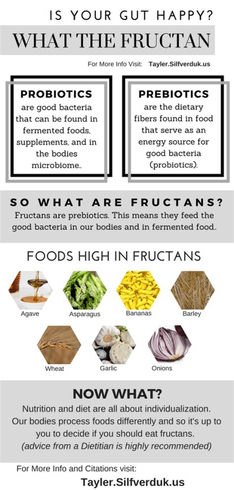 What The Fructan Are You Keeping Your Gut Happy And Healthy