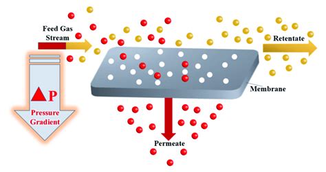 Unveiling The Future Gas Separation Membrane Advancements For Improved