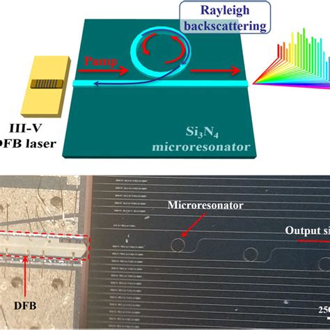 A Schematic Of Optical Frequency Comb Generation By Pumping The