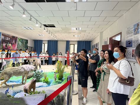 国家生态系统观测研究网络