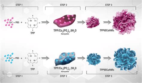 The Synthesis Scheme Of Tpp Hybrid Nanoflowers For Tppcuhnfs And Download Scientific Diagram