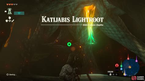 Katijabis Lightroot The Legend Of Zelda Tears Of The Kingdom