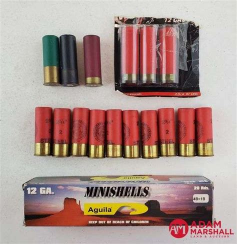 Assorted 12 Ga Shells Pleases See Description Adam Marshall Land And Auction Llc