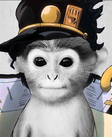 Funny Memes Pfp For Tiktok