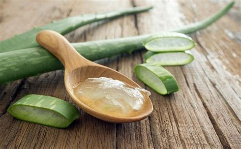 How To Use Aloe Vera Gel For Curly Hair Its Here Big Technology App