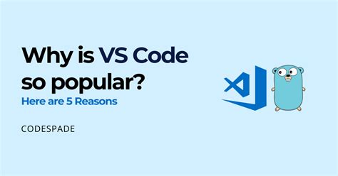 Why Vs Code Is A Perfect Choice For Golang Developer Codespade