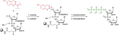 Efficient Automated Solid‐phase Synthesis Of Dna And Rna 5′‐triphosphates Sarac 2015