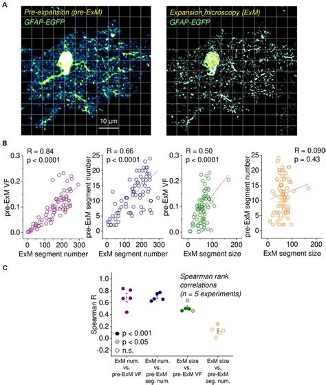 Diffraction Limit Confocal Microscopy Lasicommon
