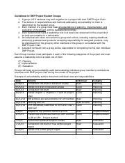 Guidelines For DNP Project Babe Groups AP Pdf Guidelines For DNP Project Babe Groups 1