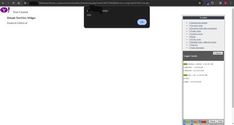 Cve Webapplicationsecurity Xss Eifers Zafir Khan