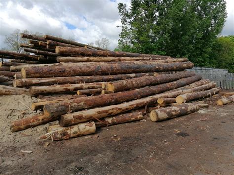 Tartak LUK TRAK Więźby dachowe kantówki łaty kontrłaty Gorzów Wielkopolski Kłodawa