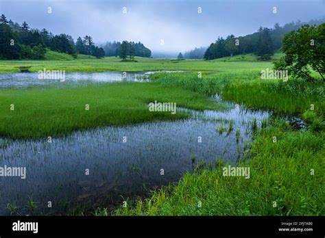 Evening Marshes Ozegahara Marshlands Oze National Park Hinoematamura