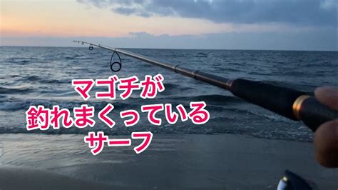 『マゴチ』が釣れまくっているサーフにマゴチを釣りに行ってきました（三重県サーフ） Youtube