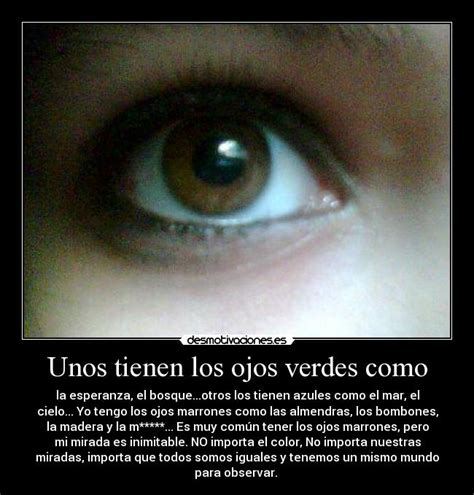 Ojos Verdes Frases Estudiar