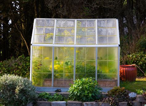 Greenhouse Gardening For Beginners A Complete Guide Plants Heaven