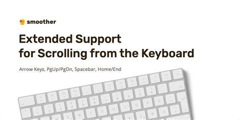 Smoother Smooth Scrolling For Wordpress By Merkulove Codecanyon