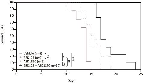 Combined Inhibition Of Ezh2 And Atm Is Synthetic Lethal In Brca1