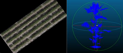 Msc Thesis Topic From Pot To Plot Correlating High Throughput Phenotyping Data From A