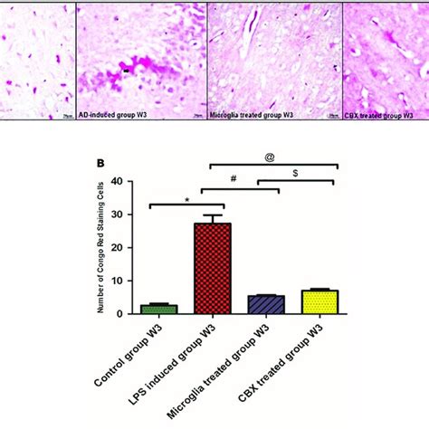 Illustration Of Congo Red Cr Stained Brain Sections Of The
