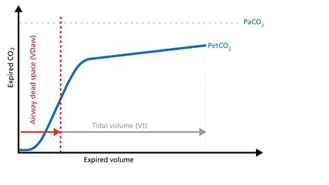 The Guide To The Basics Of Volumetric Capnography Hamilton Medical
