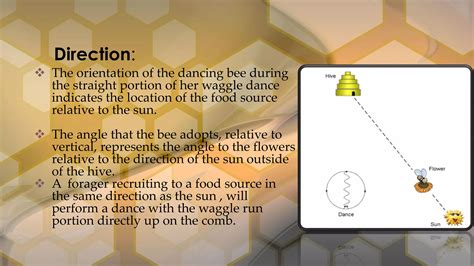 Dance Language Of Honey Bees Pdf
