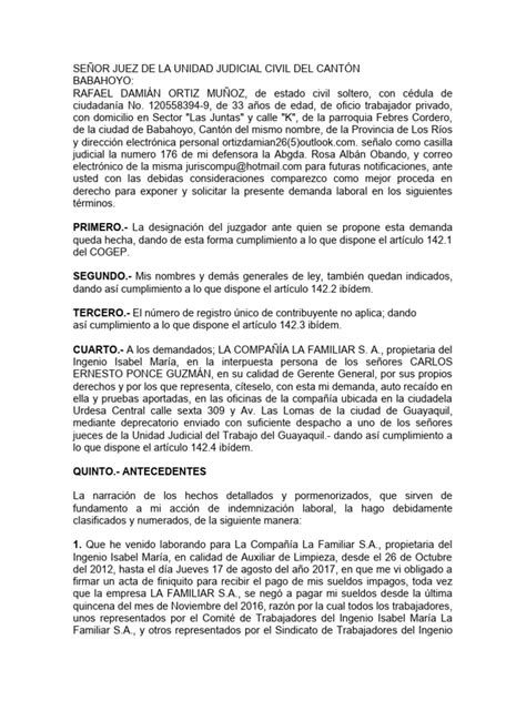 Demanda Laboral Pdf Demanda Judicial Salario