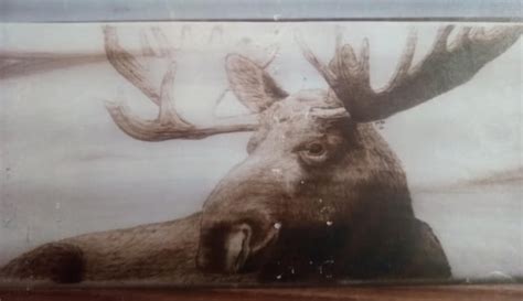 Last 5 Benches I Made Rpyrography