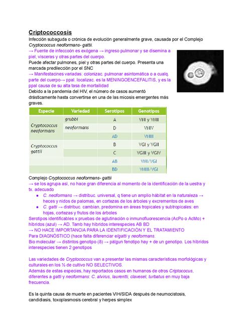 Criptococosis Características Del Complejo Cryptococcus Neoformans