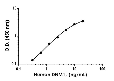 Results For Drp1 Abcam Antibodies Proteins Kits