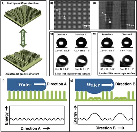 A Schematic Illustration Of The Surface Microstructure Variation