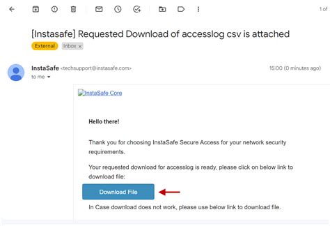 Access Log