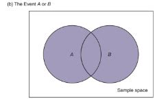 EXAM STATS Flashcards Quizlet