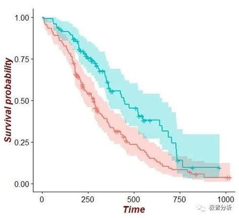 极智分析 生存分析