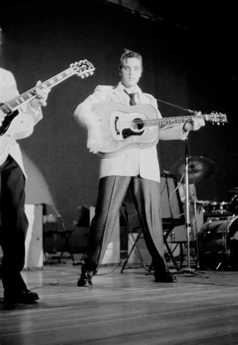 8 Amazing Same Sex New Orleans Chicory Wedding Pictures Artofit