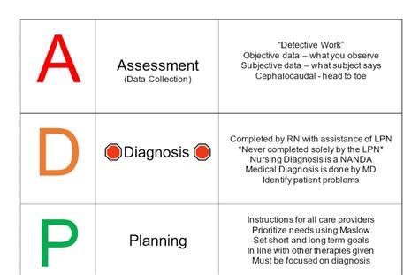 The Nursing Process Adpie Simple And Focused Chart With The Need To Know Details For Lpn School
