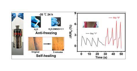 Highly Robust Sensitive Antifreezing And Drying Tolerant